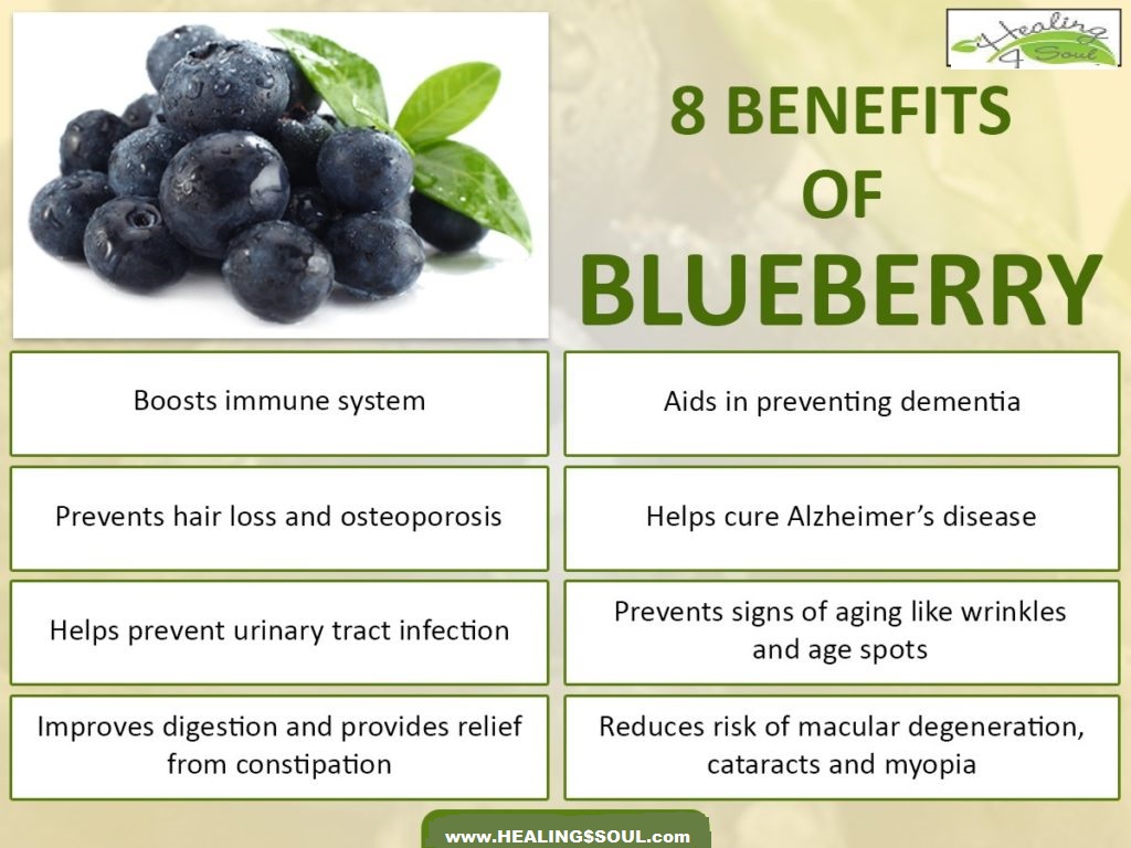 Blueberries- 9 Amazing Health Benefits - Healing 4 Soul